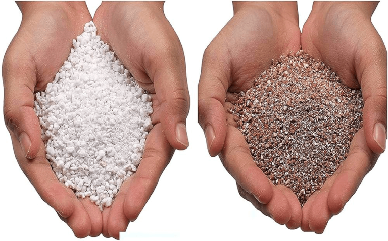 Perlite vs. Vermiculite: How and Why to Use Them - 2025 | Amol Minechem